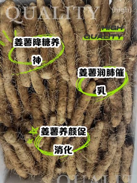 姜薯怎么做好吃_姜薯的功效与作用-第2张图片-山城妙识