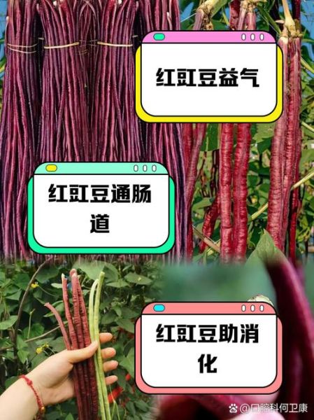 红豇豆的功效与作用_红豇豆怎么做好吃-第1张图片-山城妙识 红豇豆的功效与作用_红豇豆怎么做好吃-第1张图片-山城妙识
