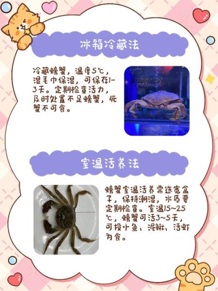 大闸蟹怎么保存才能活_活蟹存放技巧-第2张图片-山城妙识