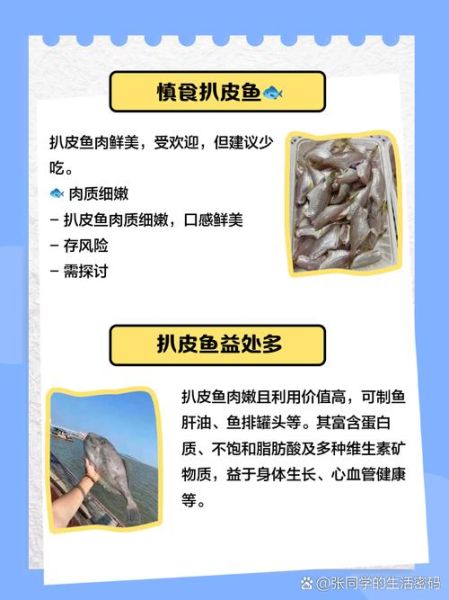 扒皮鱼怎么扒皮_扒皮鱼视频教程-第2张图片-山城妙识