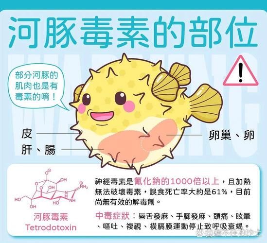 河豚哪里有毒_河豚毒素分布图-第2张图片-山城妙识