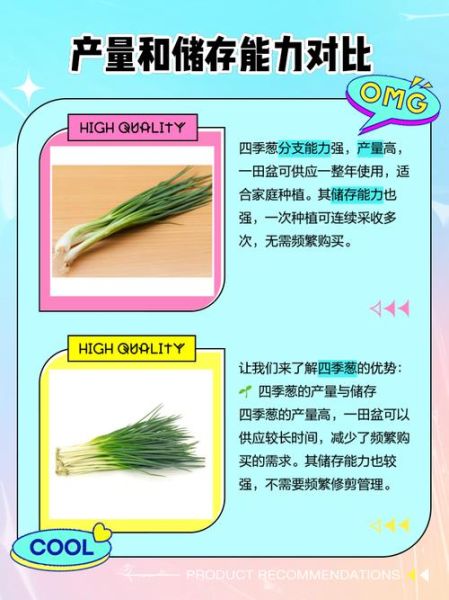 四季葱和小香葱的区别_哪个更香-第1张图片-山城妙识