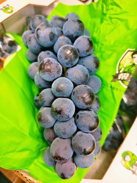 夏黑葡萄多少钱一斤_夏黑葡萄价格行情-第3张图片-山城妙识