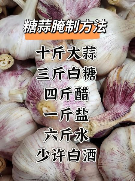 腌制糖蒜的正确方法_糖蒜怎么腌制不辣不苦-第3张图片-山城妙识