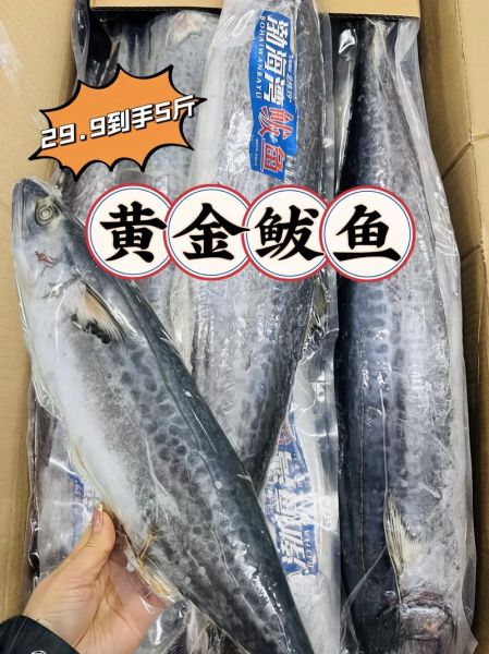 巴鱼多少钱一斤_巴鱼价格行情-第3张图片-山城妙识