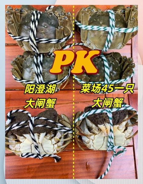 太湖大闸蟹和阳澄湖大闸蟹的区别_哪个更好吃-第2张图片-山城妙识