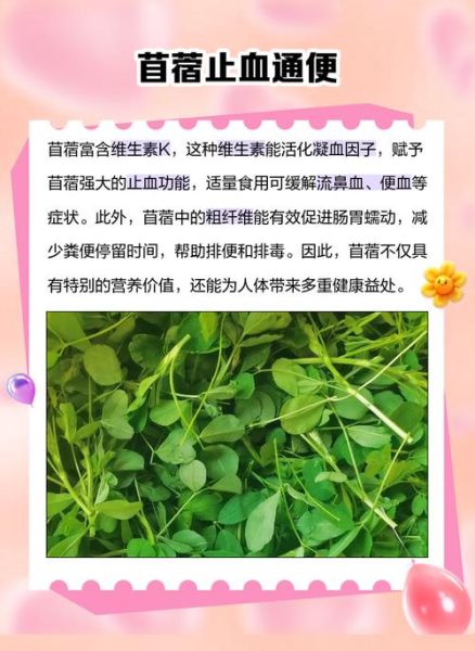 苜蓿粉的功效与作用_苜蓿粉适合什么人吃-第3张图片-山城妙识