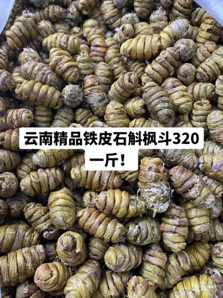 铁皮石斛图片及价格_铁皮石斛多少钱一斤-第1张图片-山城妙识