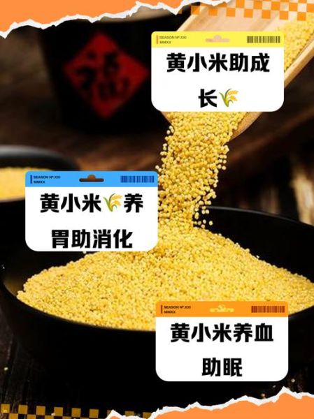 小米有什么营养价值_小米的功效与作用-第1张图片-山城妙识 小米有什么营养价值_小米的功效与作用-第1张图片-山城妙识