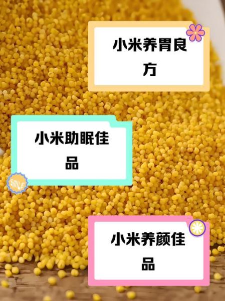 小米有什么营养价值_小米的功效与作用-第2张图片-山城妙识 小米有什么营养价值_小米的功效与作用-第2张图片-山城妙识