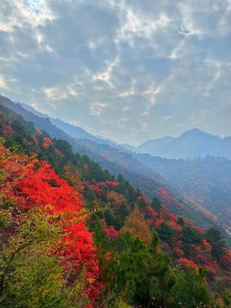 层林尽染是什么意思_层林尽染最佳观赏时间-第1张图片-山城妙识