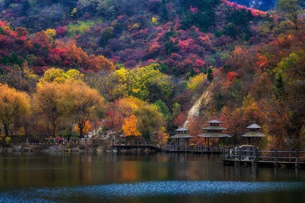 层林尽染是什么意思_层林尽染最佳观赏时间-第2张图片-山城妙识