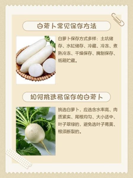 白萝卜怎么保存不空心_白萝卜的功效与作用-第1张图片-山城妙识