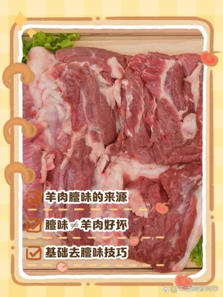 羊肉怎么去膻味_羊肉去膻味最有效的方法-第1张图片-山城妙识