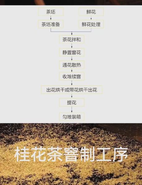 新鲜桂花怎么制作桂花茶_自制桂花茶步骤-第1张图片-山城妙识