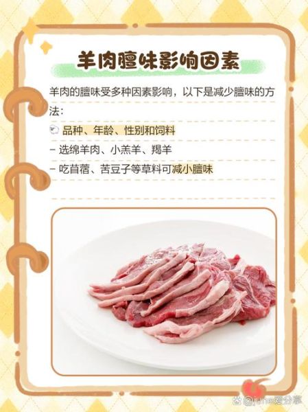 羊肉怎么去膻味_羊肉去膻味最有效的方法-第3张图片-山城妙识