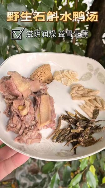 石斛老鸭汤的功效与作用_适合什么人喝-第2张图片-山城妙识