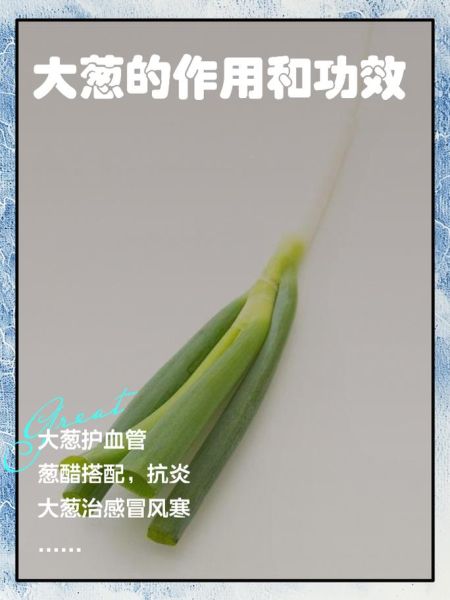 大葱的功效与作用_大葱怎么吃最健康-第1张图片-山城妙识