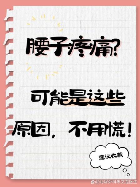 腰子是什么意思_腰子指什么部位-第1张图片-山城妙识