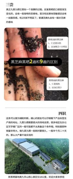 九蒸九晒黑芝麻丸骗局揭秘_如何辨别真假-第1张图片-山城妙识 九蒸九晒黑芝麻丸骗局揭秘_如何辨别真假-第1张图片-山城妙识