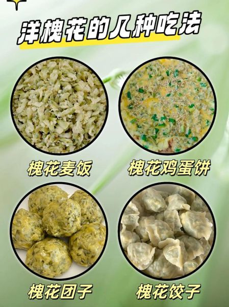 洋槐花怎么吃最好_洋槐花做法大全-第2张图片-山城妙识