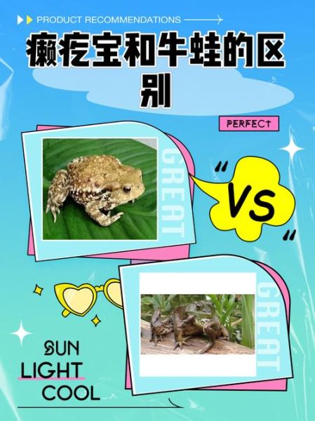 牛蛙和癞蛤蟆的区别_牛蛙是癞蛤蟆吗-第1张图片-山城妙识