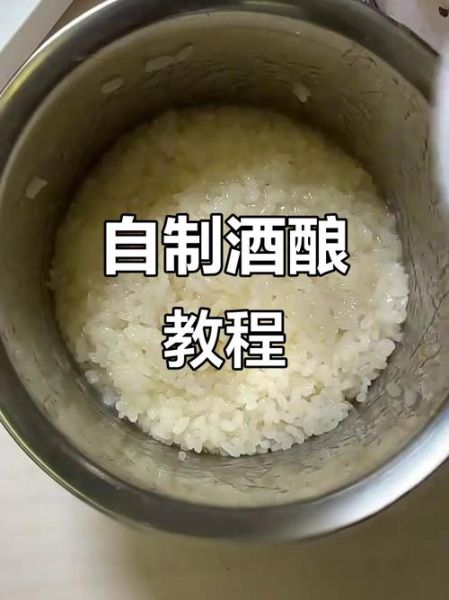 酸奶机做酒酿怎么做_酸奶机酒酿窍门-第2张图片-山城妙识 酸奶机做酒酿怎么做_酸奶机酒酿窍门-第2张图片-山城妙识