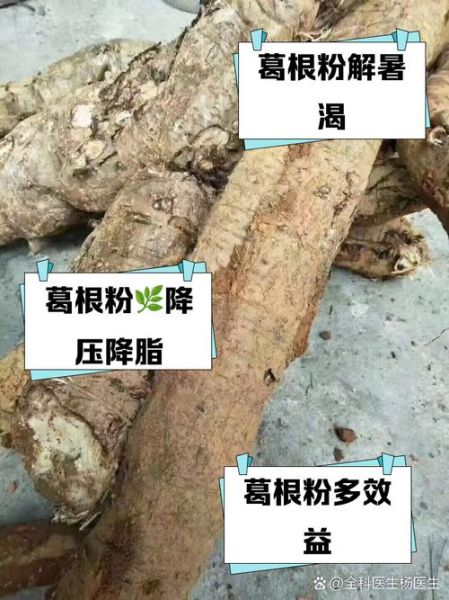 葛根粉丰胸是真的吗_葛根粉吃多久能见效-第1张图片-山城妙识