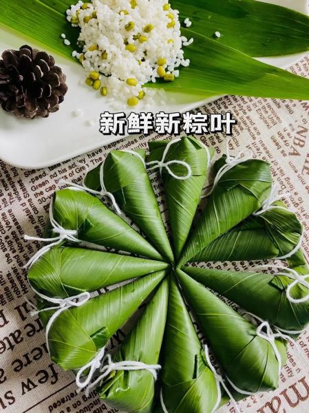 包粽子用什么竹叶_新鲜箬叶怎么挑选-第2张图片-山城妙识