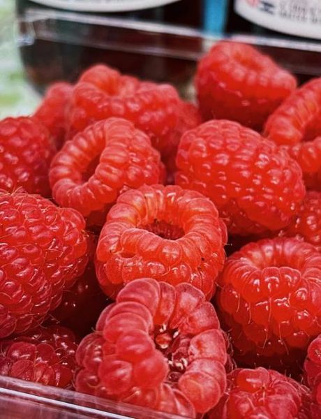 红树莓的功效与作用_红树莓怎么吃效果最好-第1张图片-山城妙识