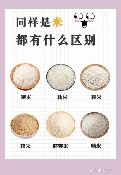 粳米是什么米_和大米有区别吗-第1张图片-山城妙识