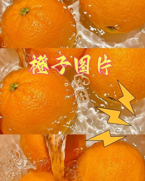 橙子图片可爱_怎么拍才好看-第2张图片-山城妙识