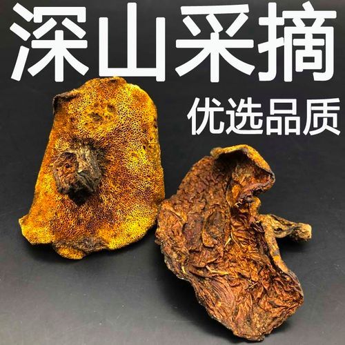 松蘑图片大全大图_松蘑怎么挑选-第3张图片-山城妙识