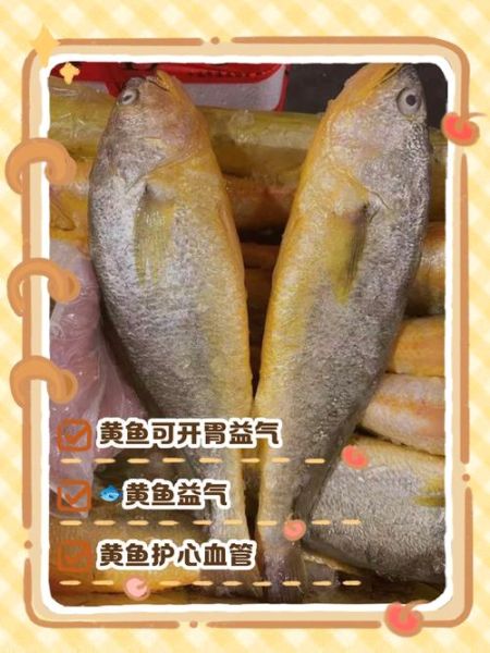 黄鱼是淡水鱼还是海水鱼_黄鱼生活在哪里-第2张图片-山城妙识