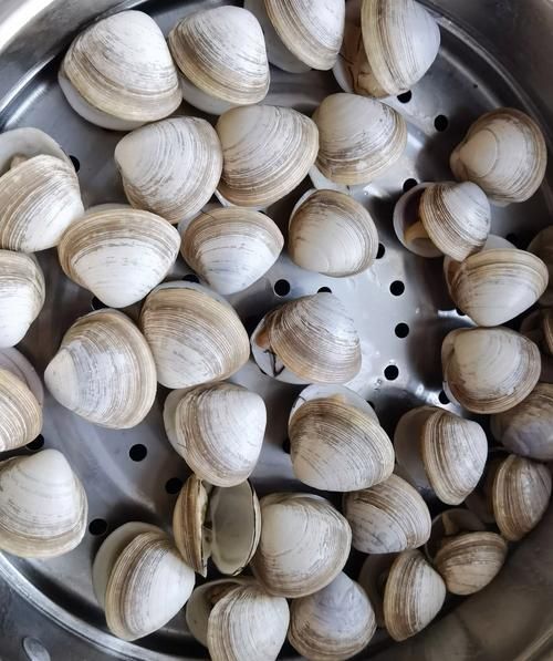 白蚬子怎么清洗_白蚬子蒸还是煮好吃-第1张图片-山城妙识