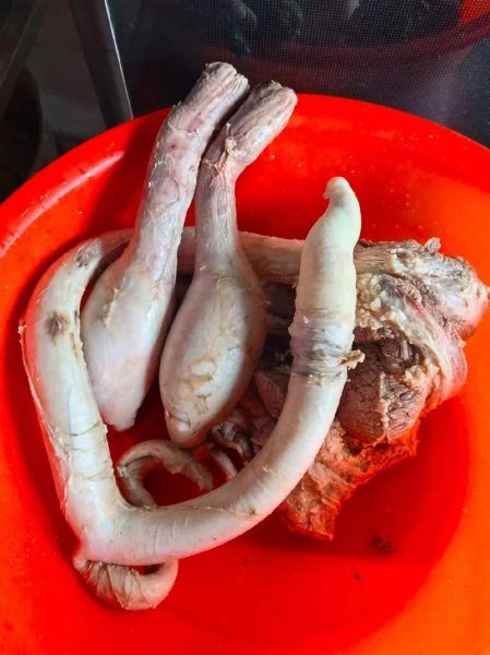 牛鞭长什么样子_牛鞭图片真实形态-第1张图片-山城妙识 牛鞭长什么样子_牛鞭图片真实形态-第1张图片-山城妙识