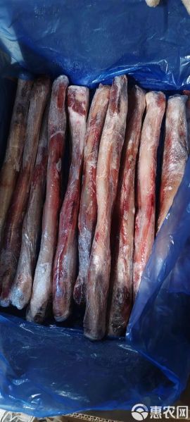 牛鞭长什么样子_牛鞭图片真实形态-第2张图片-山城妙识 牛鞭长什么样子_牛鞭图片真实形态-第2张图片-山城妙识