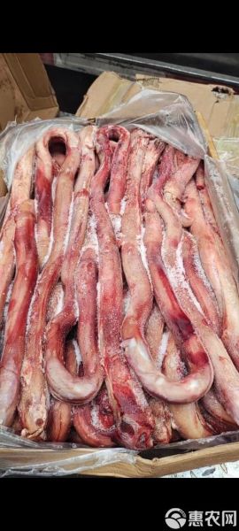 牛鞭长什么样子_牛鞭图片真实形态-第3张图片-山城妙识 牛鞭长什么样子_牛鞭图片真实形态-第3张图片-山城妙识