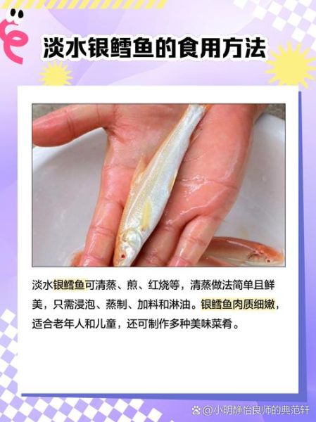 淡水银雪鱼吃什么饵料_淡水银雪鱼饵料配方-第2张图片-山城妙识