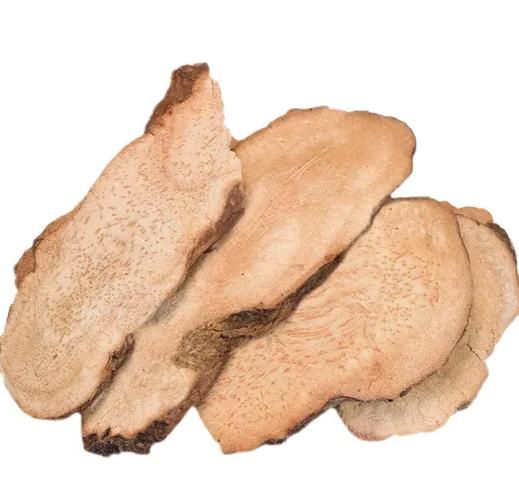 土茯苓长什么样_土茯苓图片如何辨别真假-第3张图片-山城妙识 土茯苓长什么样_土茯苓图片如何辨别真假-第3张图片-山城妙识