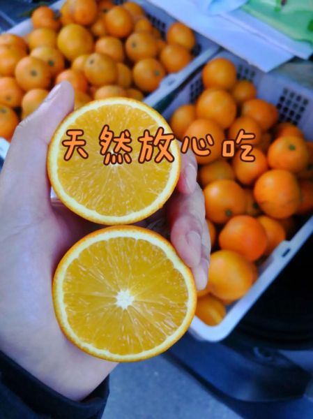 冰糖蒸橙子治哪种咳嗽_适合干咳还是痰咳-第1张图片-山城妙识 冰糖蒸橙子治哪种咳嗽_适合干咳还是痰咳-第1张图片-山城妙识