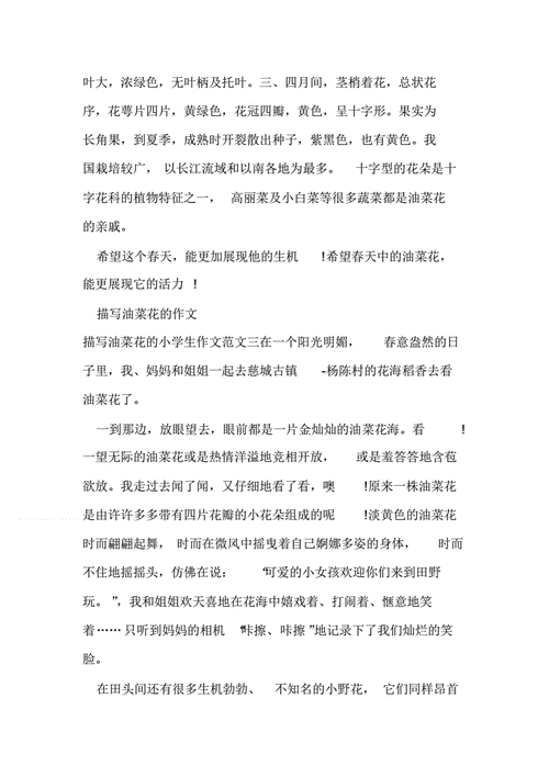 油菜花作文怎么写_油菜花作文800字写作技巧-第3张图片-山城妙识