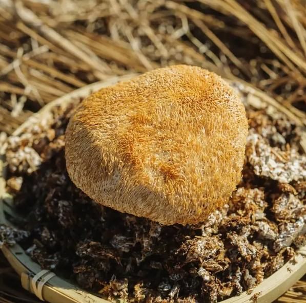 干猴头菇怎么泡发_干猴头菇怎么做最好吃-第2张图片-山城妙识