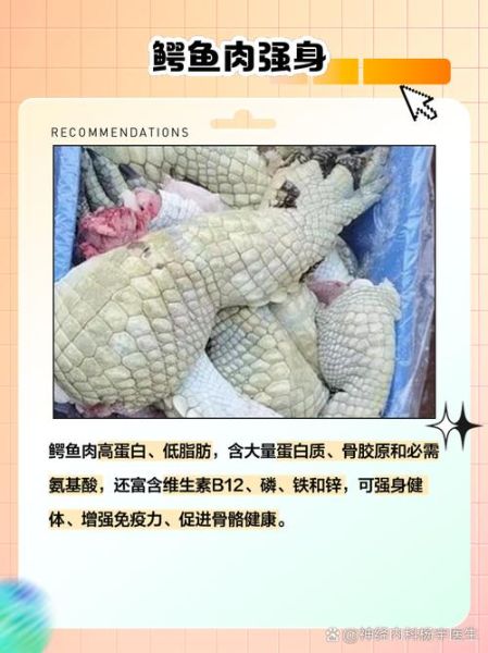 鳄鱼肉能吃吗_鳄鱼肉违法吗-第3张图片-山城妙识