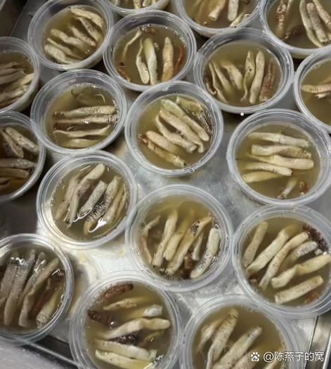 土笋冻沙虫是什么_土笋冻沙虫怎么做-第1张图片-山城妙识 土笋冻沙虫是什么_土笋冻沙虫怎么做-第1张图片-山城妙识