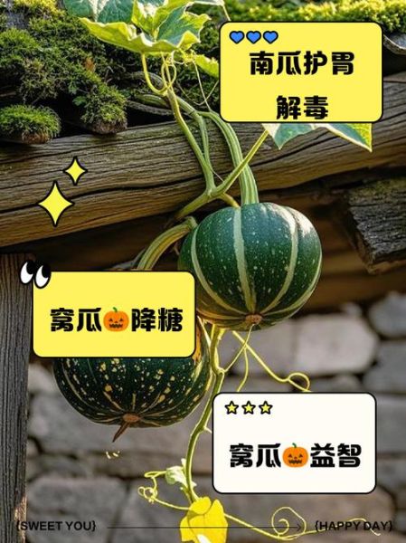 倭瓜的热量是多少_倭瓜减肥能吃吗-第1张图片-山城妙识