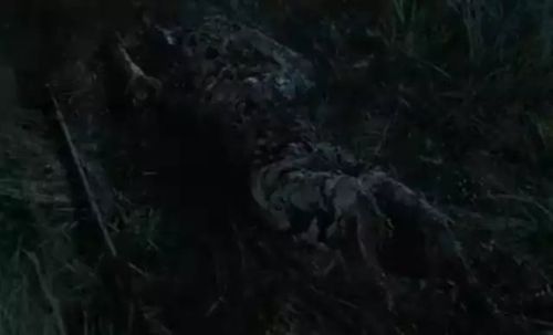 草蜢影视在线观看免费高清完整版_如何安全观看-第2张图片-山城妙识