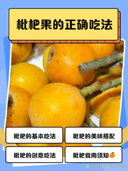 枇杷果吃多了会怎么样_枇杷果吃多了会上火吗-第1张图片-山城妙识