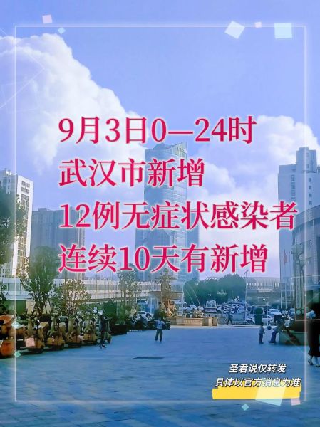 湖北疫情最新数据_武汉封控措施何时解除-第2张图片-山城妙识