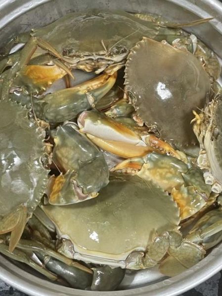 青蟹要蒸多久才熟_蒸青蟹多长时间最佳-第1张图片-山城妙识 青蟹要蒸多久才熟_蒸青蟹多长时间最佳-第1张图片-山城妙识